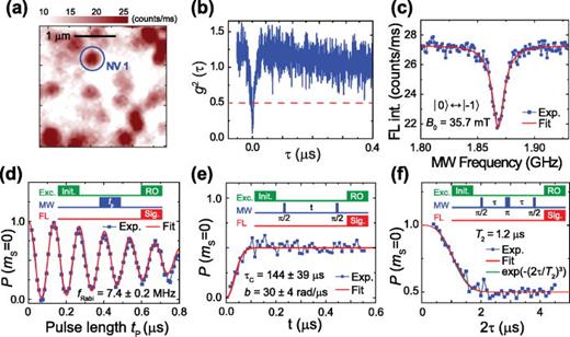 Electron spin resonance spectroscopy of small ensemble paramagnetic ...
