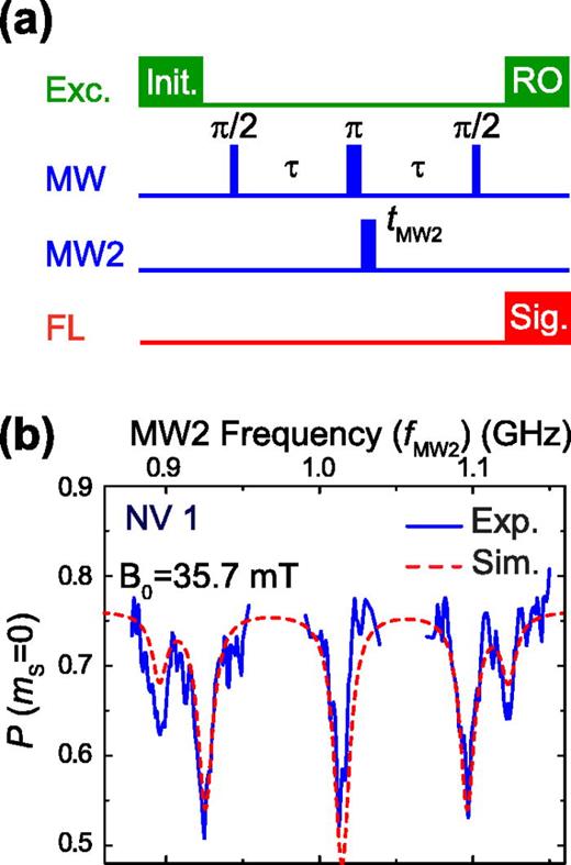 Electron spin resonance spectroscopy of small ensemble paramagnetic ...