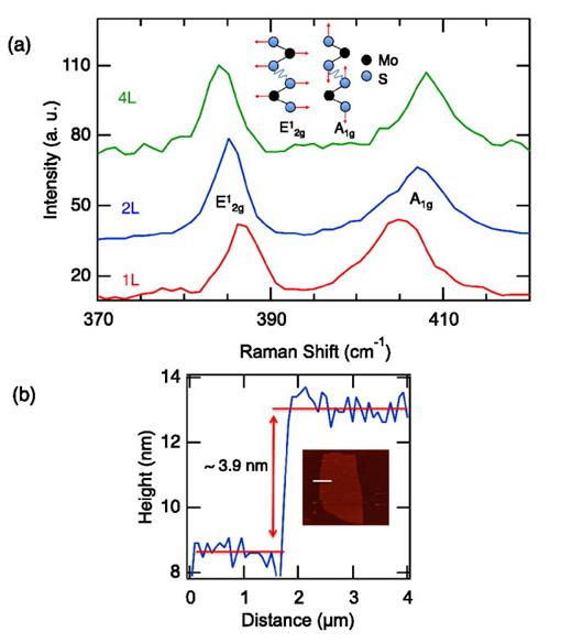 Gate-tunable and thickness-dependent electronic and thermoelectric ...