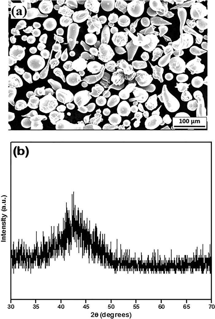 Initial stage densification during spark plasma sintering of Fe-based ...