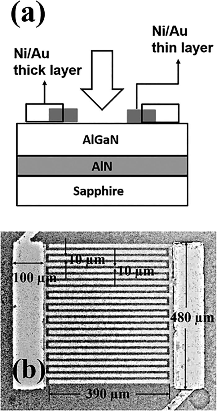 Compositional inhomogeneities in AlGaN thin films grown by molecular ...