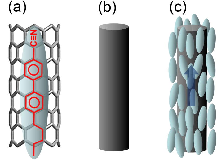 Insulator-to-conductor transition in liquid crystal-carbon nanotube ...