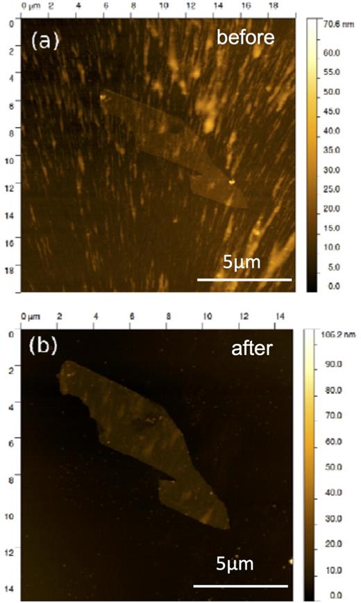 Charge neutral MoS2 field effect transistors through oxygen plasma ...
