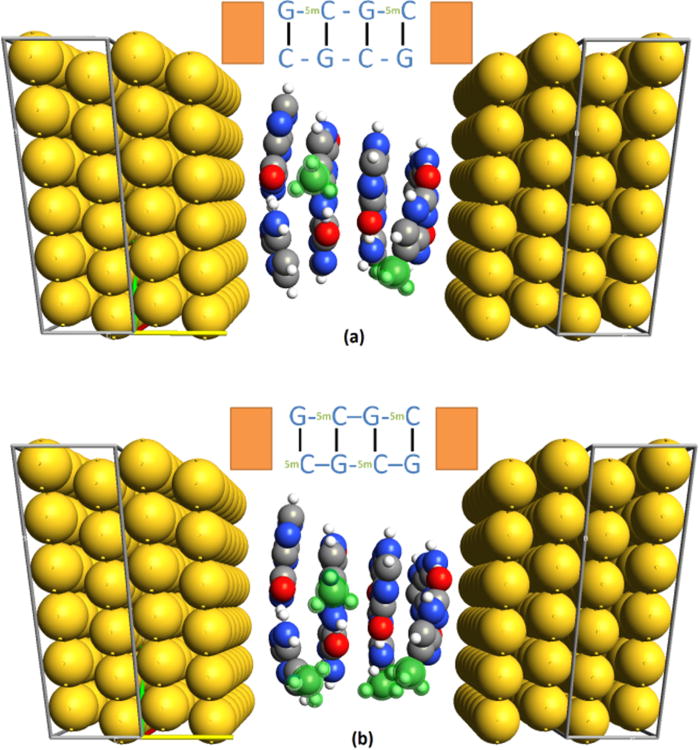 Feasibility study of molecular memory device based on DNA using ...