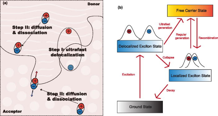 Exciton delocalization incorporated drift-diffusion model for bulk ...