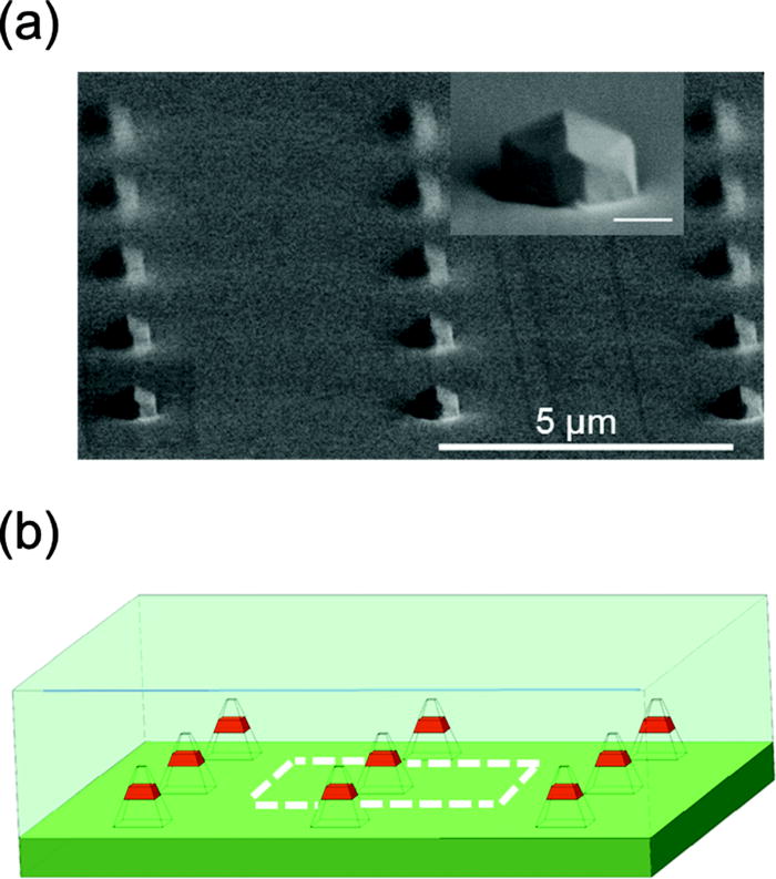 Mesa-top quantum dot single photon emitter arrays: Growth, optical ...