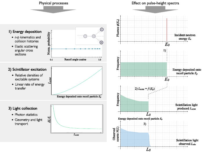 Warhead verification as inverse problem: Applications of neutron spectrum unfolding from organic ...