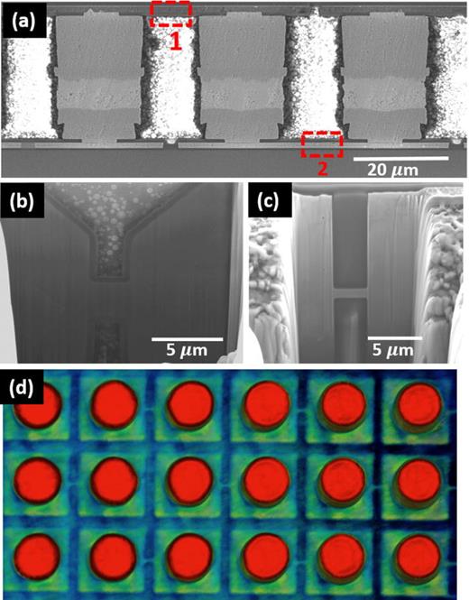 Joule heating induced thermomigration failure in un-powered microbumps ...