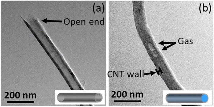 Thermal conductivity of liquid/carbon nanotube core-shell ...