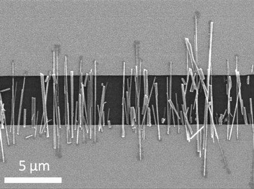 Persistent photoconductivity in ZnO nanowires: Influence of oxygen and ...