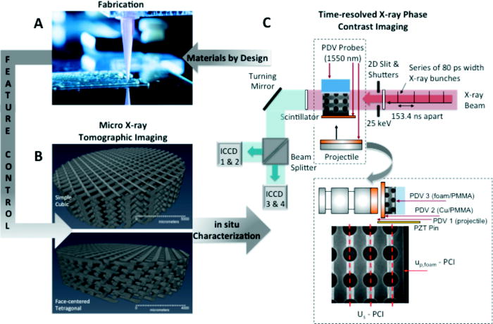 Controlling shockwave dynamics using architecture in periodic porous ...
