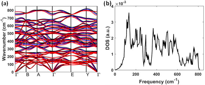 Effect of oxygen vacancies and strain on the phonon spectrum of HfO2 ...