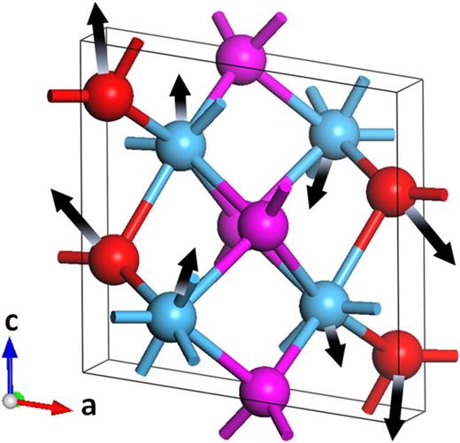 Effect of oxygen vacancies and strain on the phonon spectrum of HfO2 ...