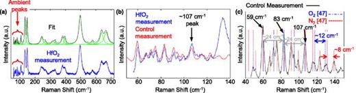 Effect of oxygen vacancies and strain on the phonon spectrum of HfO2 ...