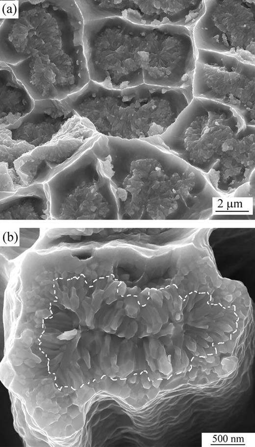 Structure of superconducting layers in bronze-processed and internal ...