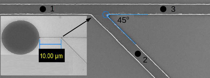 Trajectory and chirality of vortex domain walls in ferromagnetic ...