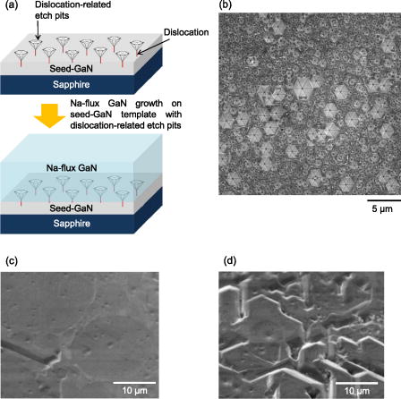 Control of dislocation morphology and lattice distortion in Na-flux GaN ...