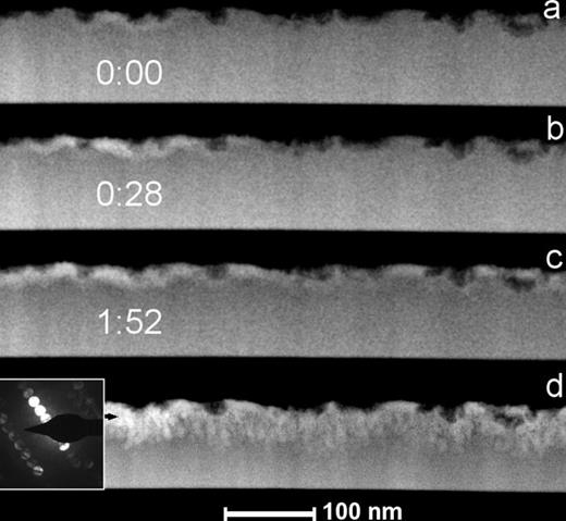 In situ observation of the impact of surface oxidation on the ...