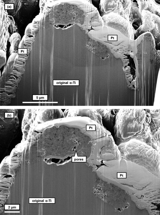 Growth mechanisms of multiscale, mound-like surface structures on ...