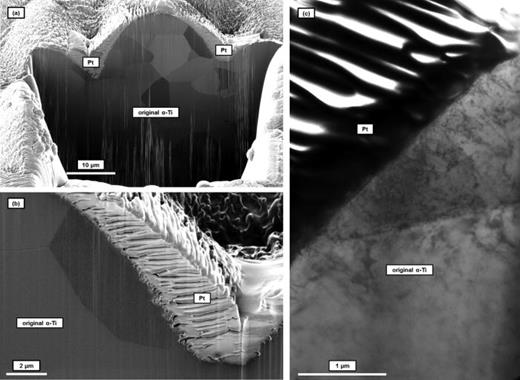 Growth mechanisms of multiscale, mound-like surface structures on ...