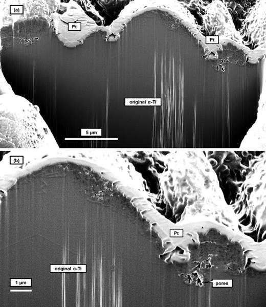 Growth mechanisms of multiscale, mound-like surface structures on ...
