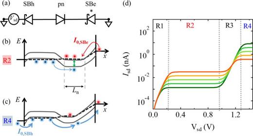 A nanoscale pn junction in series with tunable Schottky barriers ...