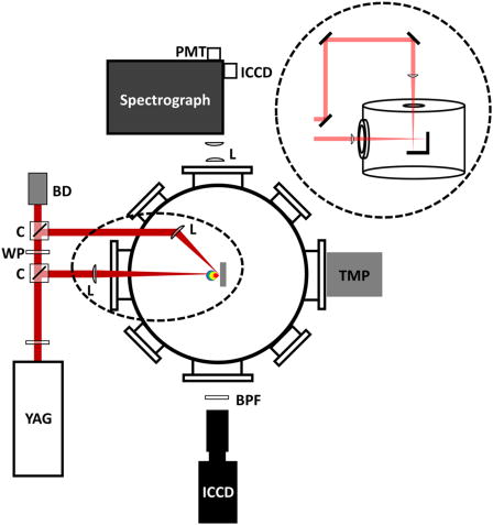 Mechanisms of carbon dimer formation in colliding laser-produced carbon ...