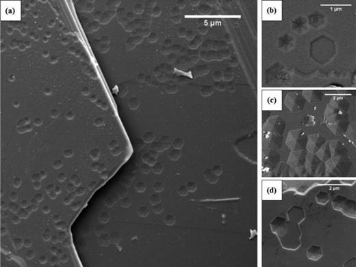 Defect sensitive etching of hexagonal boron nitride single crystals ...