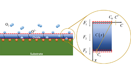 Effect of interface reaction and diffusion on stress-oxidation coupling ...