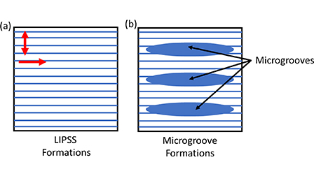 Polarization-controlled microgroove arrays induced by femtosecond laser ...