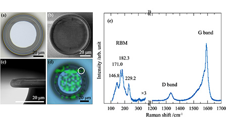 Saturable absorption by carbon nanotubes on silica microtoroids ...