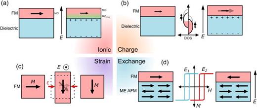 Perspective: Magnetoelectric switching in thin film multiferroic ...