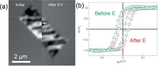 Perspective: Magnetoelectric switching in thin film multiferroic ...