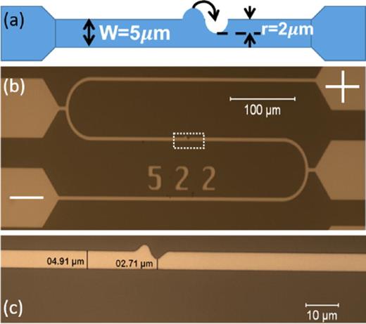 Thermoreflectance imaging of electromigration evolution in asymmetric ...
