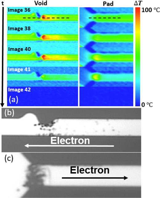 Thermoreflectance imaging of electromigration evolution in asymmetric ...