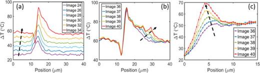 Thermoreflectance imaging of electromigration evolution in asymmetric ...