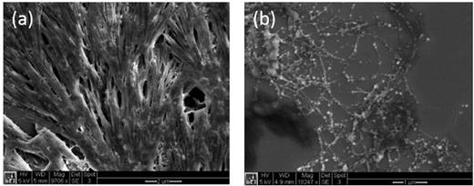 Engineering of the resistive switching properties in V2O5 thin film by ...