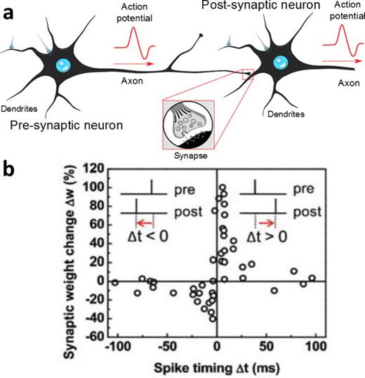 Tutorial: Brain-inspired computing using phase-change memory devices ...