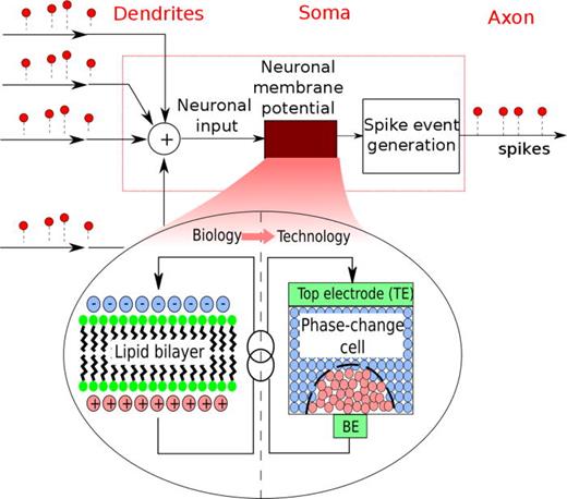 Tutorial: Brain-inspired computing using phase-change memory devices ...