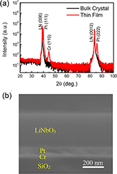 Low-frequency charge trapping and bistable domain switching in Mg-doped ...