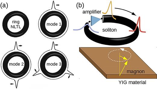 Perspective: Strong microwave photon-magnon coupling in multiresonant ...