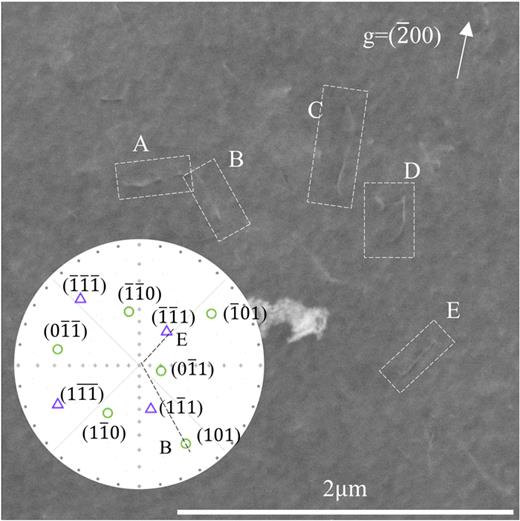 Direct observation of dislocation structure evolution in SRF cavity niobium using electron ...