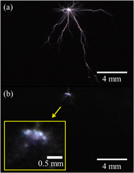 Propagation and branching process of negative streamers in water ...