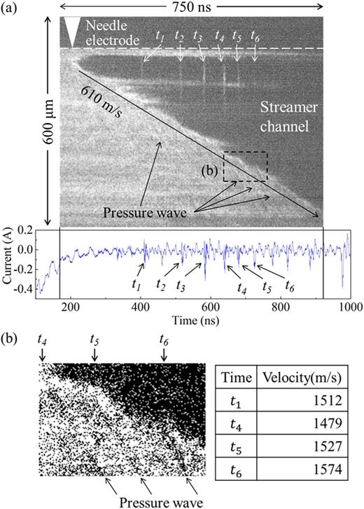 Propagation and branching process of negative streamers in water ...