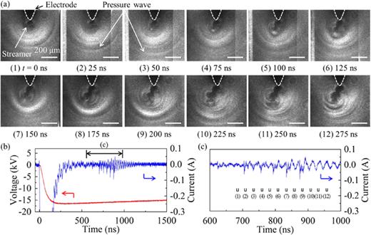 Propagation and branching process of negative streamers in water ...