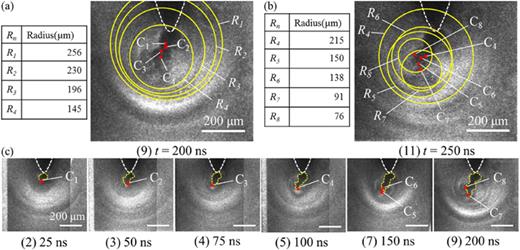 Propagation and branching process of negative streamers in water ...