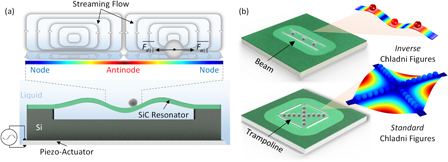 Standard and inverse microscale Chladni figures in liquid for dynamic patterning of ...