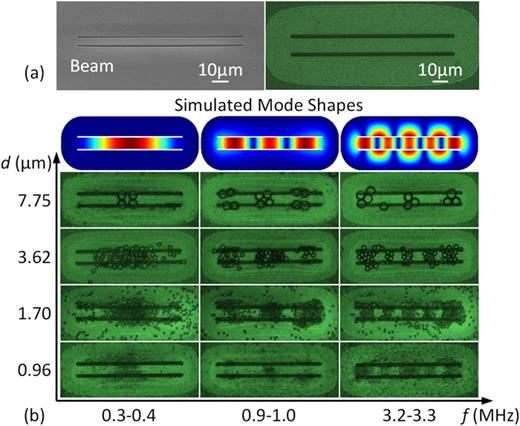 Standard and inverse microscale Chladni figures in liquid for dynamic patterning of ...