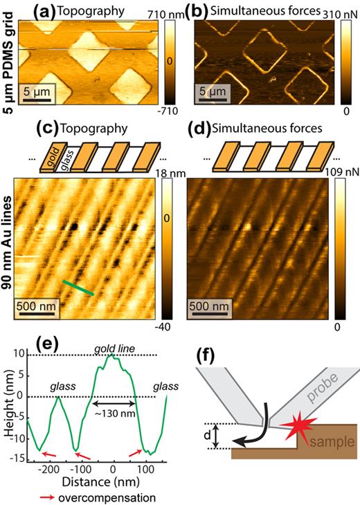 Simultaneous scanning ion conductance and atomic force microscopy with ...