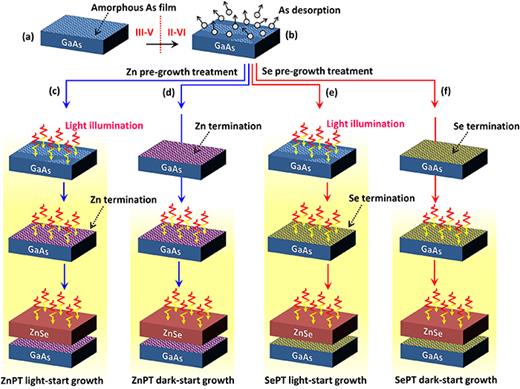 Controlling ZnSe/GaAs interface properties: The role of elemental ...